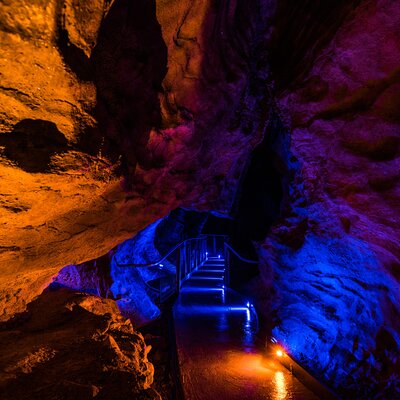 Waitomo Triple Cave Experience - Private Tour From Auckland – Kids Fun NZ